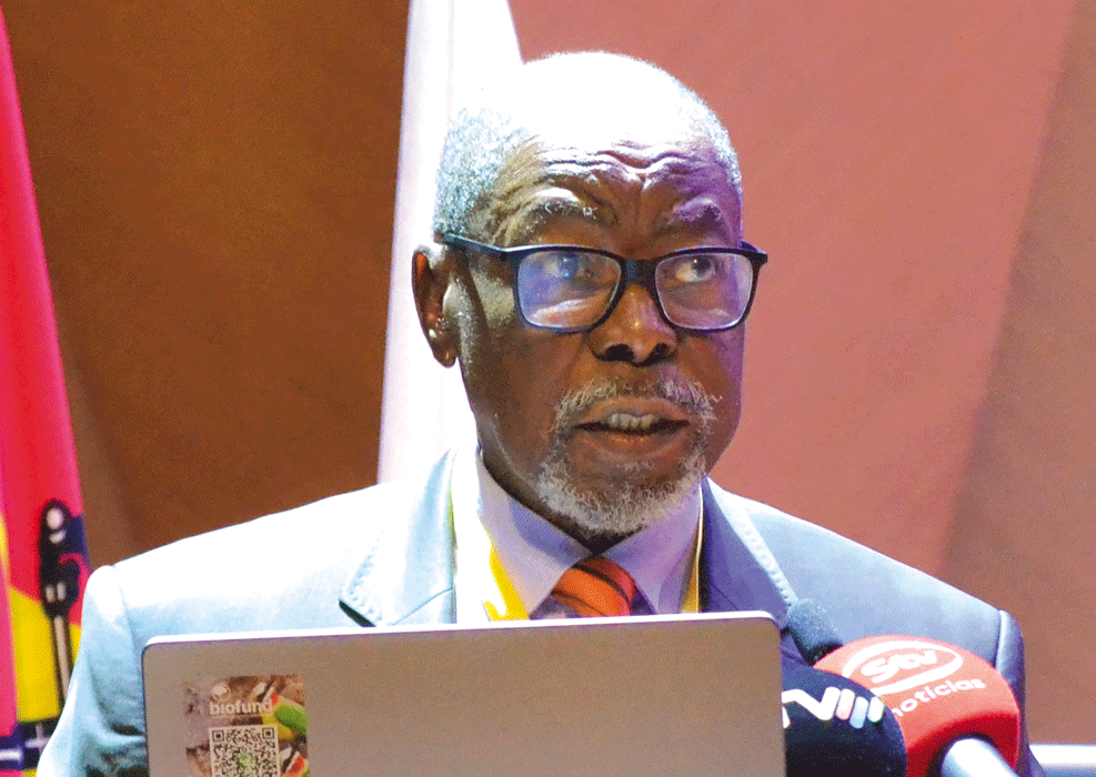 LUÍS BERNARDO HONWANA NARRA: Os ventos da mudança - Jornal Domingo ...